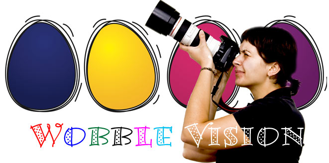 Wobble Vision from an HD SLR near you – HD Warrior